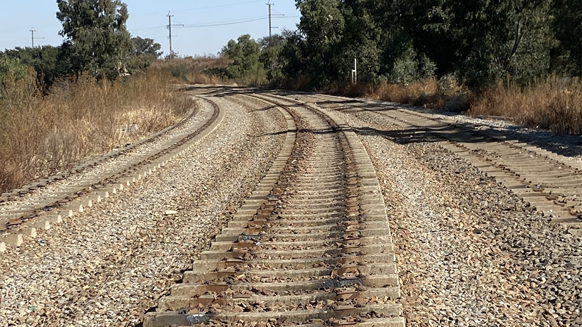 Over 3,600 km of Transnet’s railways unusable – Daily Investor