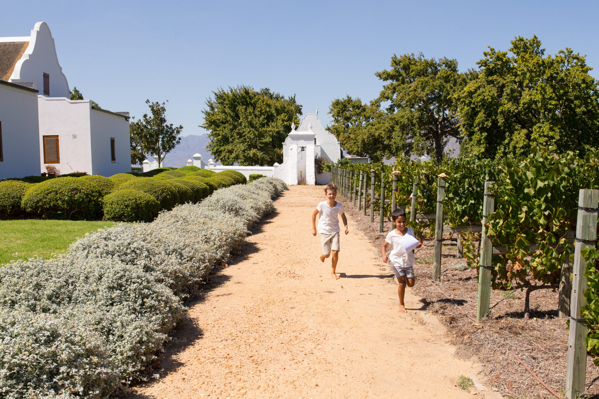 The man behind the success of billionaire Koos Bekker’s Babylonstoren ...