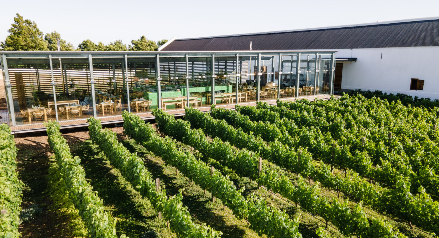 The man behind the success of billionaire Koos Bekker’s Babylonstoren ...